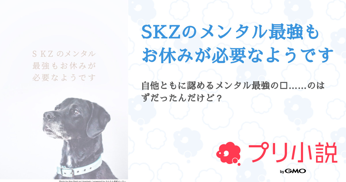 第26話：26（SKZのメンタル最強もお休みが必要なようです）｜無料スマホ夢小説ならプリ小説 byGMO